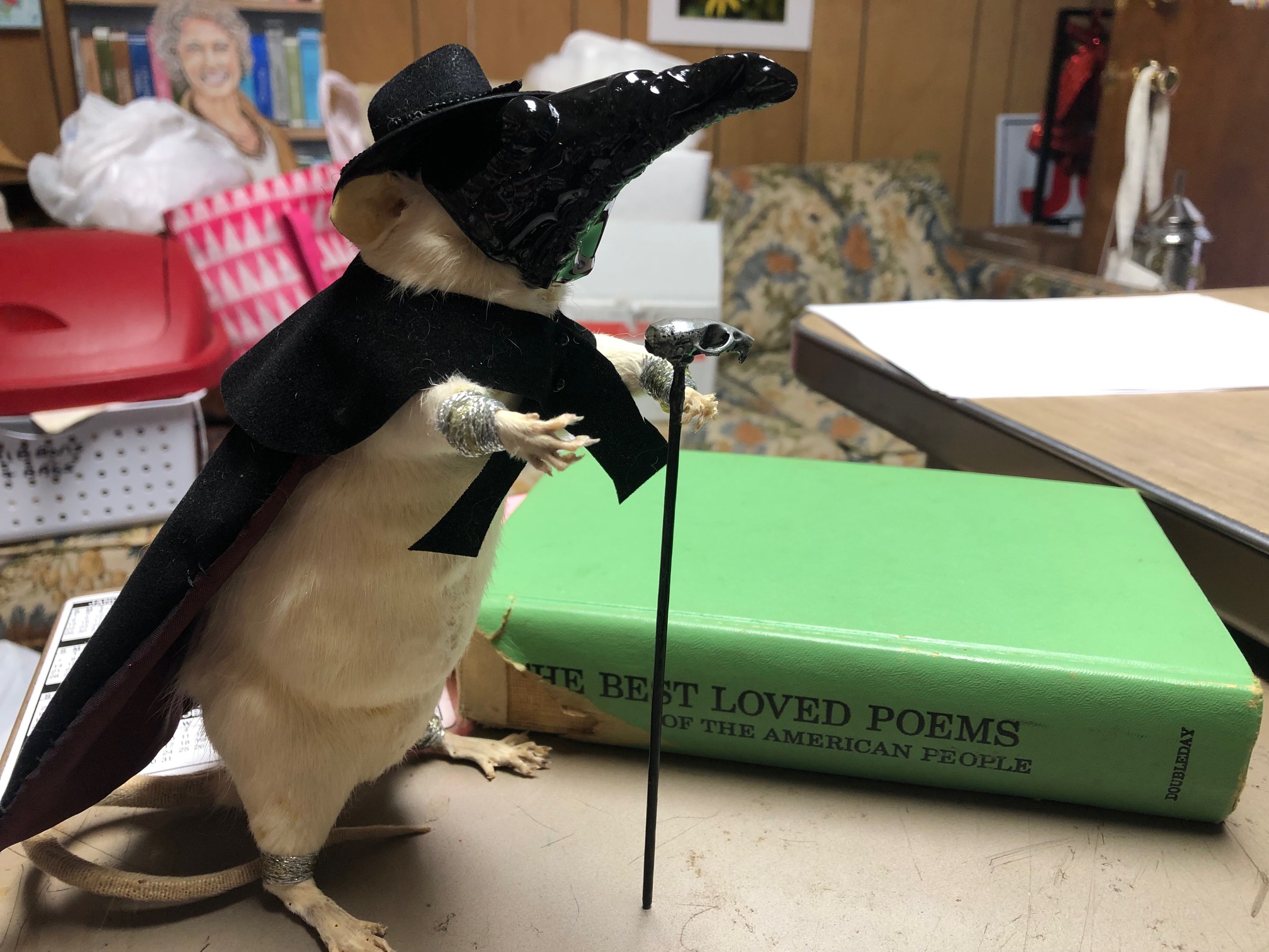 Episode 81: Plague Doctor Rat Taxidermy – Wacky Poem Life